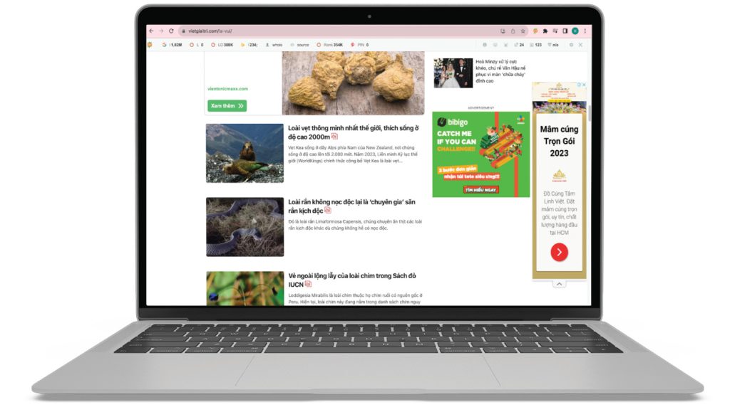 CAMPAIGN CHUYẾN XE “HÀN’ RONG | Clover Brand Consultancy
